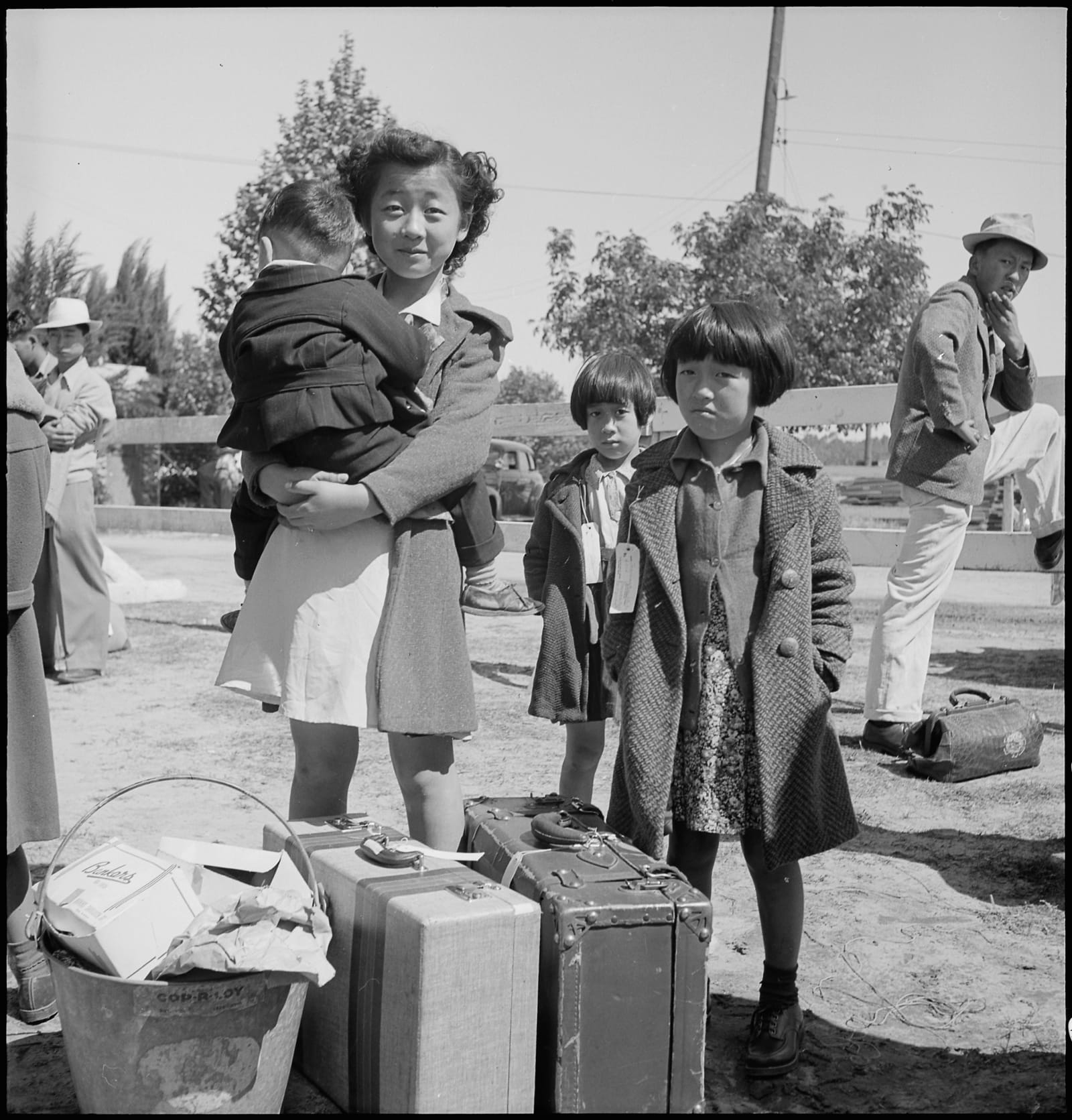 WWII Japanese Mass Incarceration collections